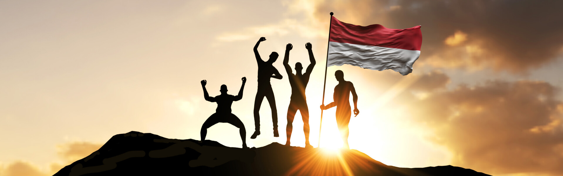Vision - Indonesia WISE
